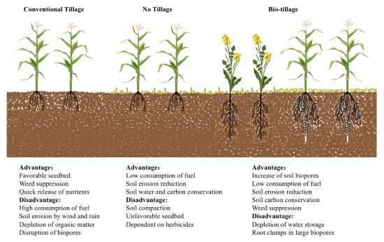 彭新华研究员课题组：生物耕作（Bio-tillage），可持续农业的新视角-2020年第10期（总第11期）-江苏省土壤学会